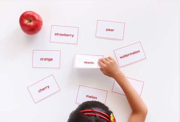 Booster ses révisions avec les Flash cards | Allagi - Education à soi ...